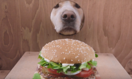 Burger King' ten Viral Bir Reklam Daha!